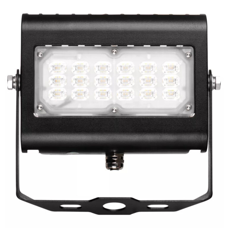 PROŽEKTOR EMOS 30W LED FLOODLIGHT PROFI PLUS - Espak E-pood
